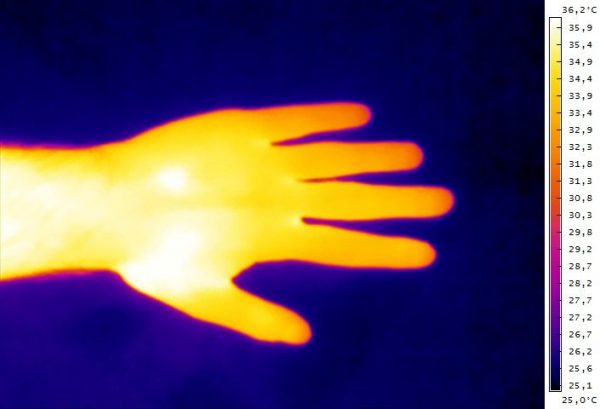 A Bit More About Thermal Cameras and the Images You Get With Them - SPI ...